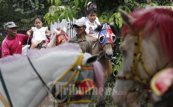 Jumlah Motor Pengaruhi Populasi Kuda Banjar - TribunNews.com