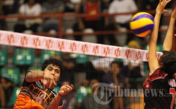 Hasil Pertandingan Pro Liga Voli di Yogjakarta Minggu - TribunNews.com
