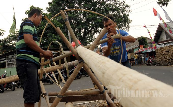 Susahnya Cari Pohon Pinang Untuk 17-an - TribunNews.com