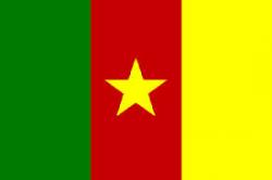 Profil Timnas Kamerun - TribunNews.com