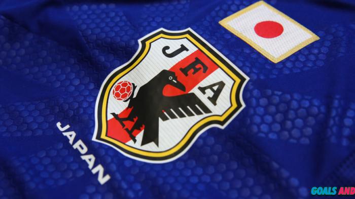 Piala Asia 2015 Berasa Seperti Piala Eropa - TribunNews.com