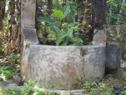 Dewi Histeris Begitu Lihat di dalam Sumur Tua Ada Sosok Suaminya ...