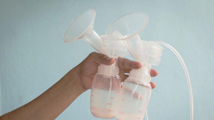 Buat Pemula, Ini Tips Memompa ASI yang Benar agar Ibu Merasa Nyaman ...