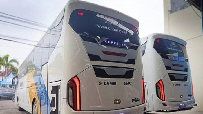 Damri Kerahkan Bus Pariwisata Angkut 11 Ribu Pemudik - TribunNews.com