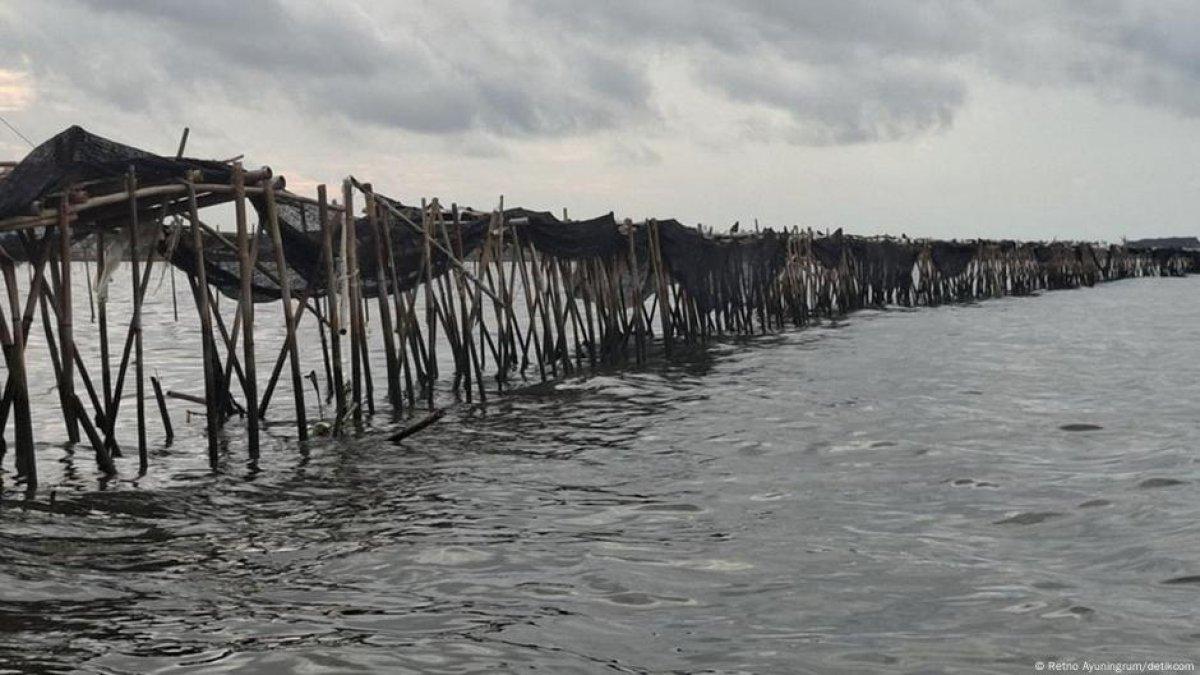 Kejagung Mulai Selidiki Dugaan Kasus terkait Pagar Laut Tangerang - TribunNews.com