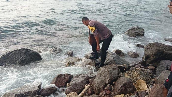 Tengkorak Manusia yang Ditemukan di Pantai Tepetetu NTT, Diduga Kuat ...