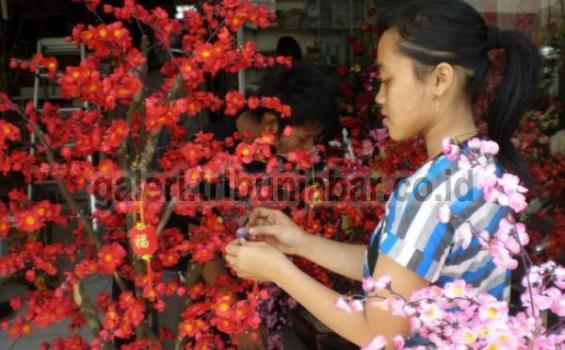 Bunga Mei Hwa Bukan Hanya Ornamen Imlek - TribunNews.com