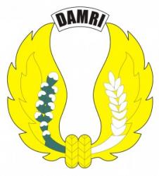 Damri Minta Tertibkan Angkot Pelat Hitam - TribunNews.com