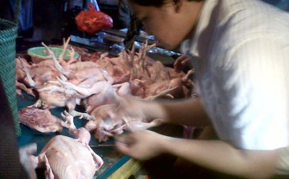 Wit, Pedagang Ini Jualan Daging Busuk dan Ilegal - TribunNews.com