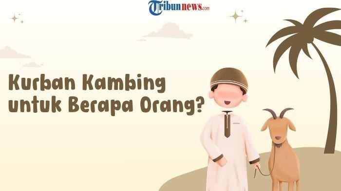 Kurban Kambing untuk Berapa Orang? Ini Penjelasannya - TribunNews.com