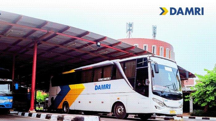 Promo Tarif Bus DAMRI Hanya Rp60 Ribu untuk Rute Bandara Soekarno-Hatta - TribunNews.com