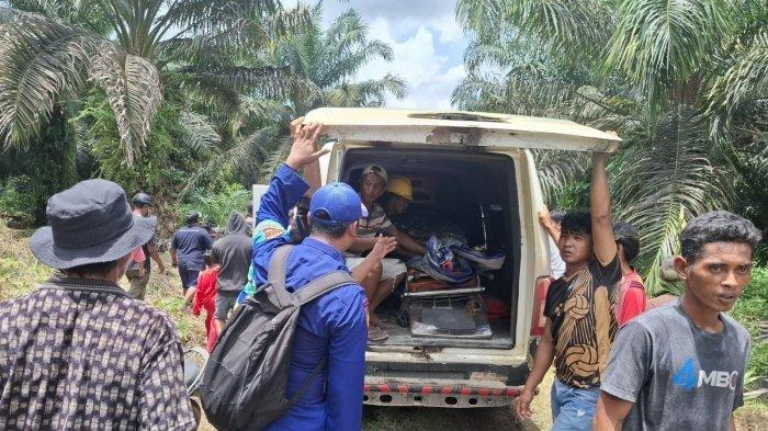Pemancing Tewas Diterkam Buaya di Kutai Timur, Tangan dan Kakinya ...