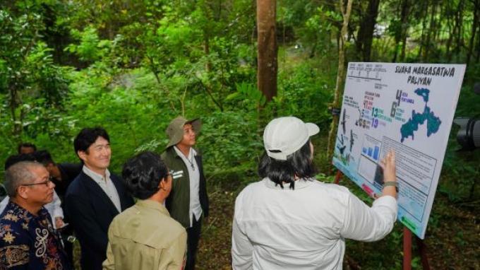 Usai Restorasi, Hutan Konservasi Paliyan Rawat 65 Jenis Kupu-kupu dan 5 ...