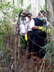 Cinta Segitiga Berujung Maut Tribunnews