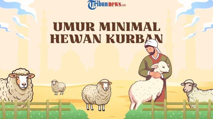 Umur Minimal Hewan Kurban: Kambing, Sapi, Domba hingga Unta ...