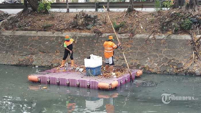 Pramono Janji Hidupkan Kembali Pasukan Oranye Era Ahok, Pelamar Bisa Ijazah SD - TribunNews.com
