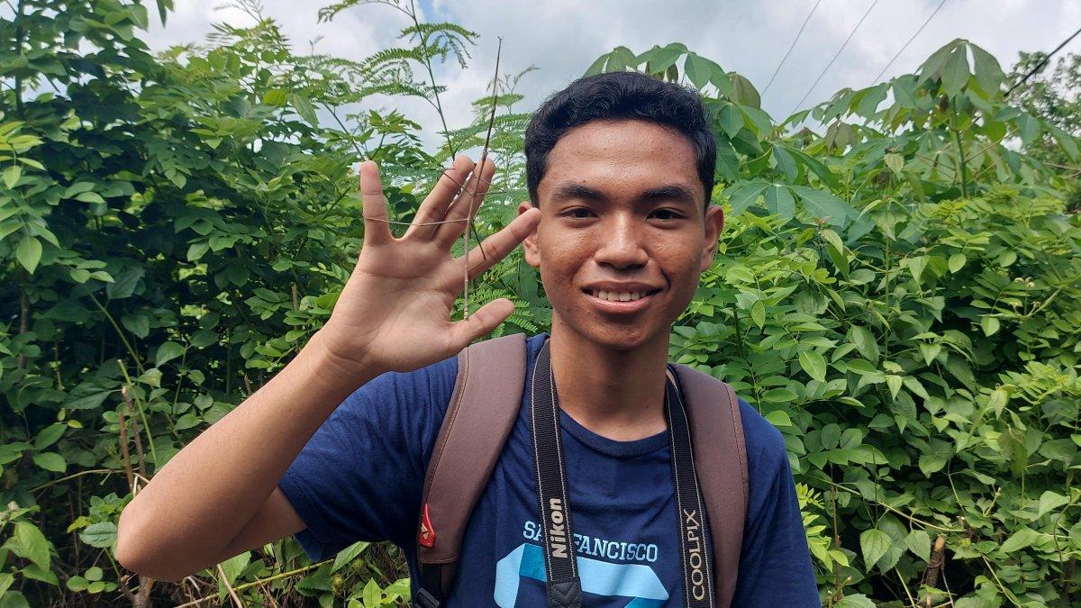 Kisah pemuda Indonesia penemu spesies serangga ranting baru - 'Serangga ...
