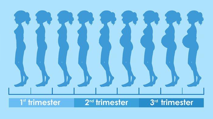 Kondisi Ibu Hamil yang Tidak Disarankan untuk Berpuasa Berdasarkan ...