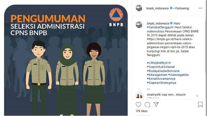 Hasil Seleksi Administrasi CPNS Badan Nasional Penanggulangan Bencana (BNPB) 2019, Cek di Sini ...