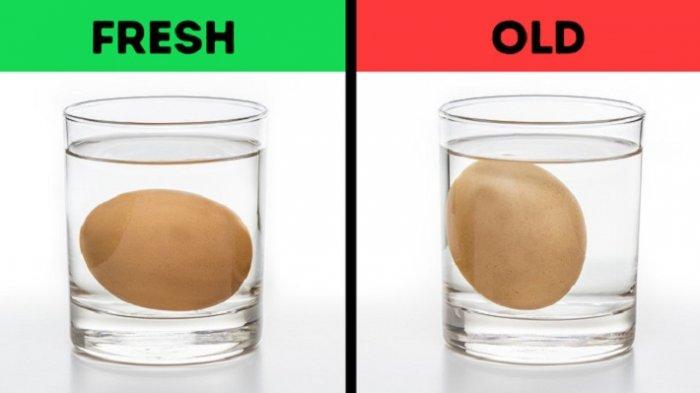 10 Cara Mudah Tes Kualitas Makanan, Direndam hingga Dipatahkan ...