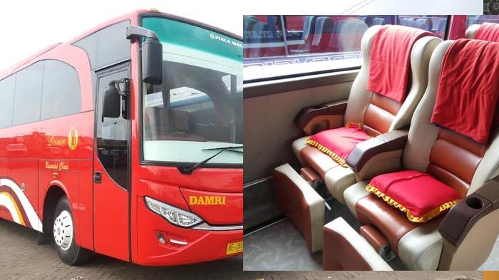 Bus Damri, Transportasi Paling Nyaman di Lampung, Ini Daftar Tarif ...