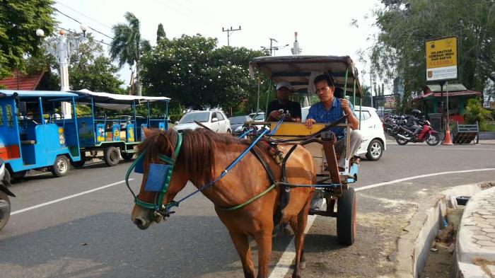 Jadi Sumber Tetanus, Kuda-kuda Bendi Monas Diperiksa - TribunNews.com