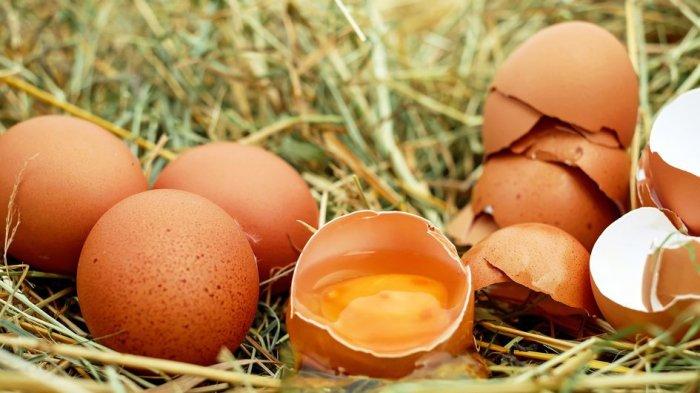 Mudah Dilakukan, Ini Tips Membedakan Telur Masih Segar atau Busuk ...