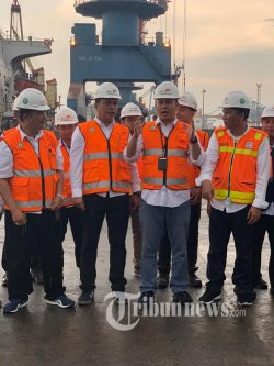 PTP Multipurpose Optimalkan Layanan Ekspor Perdana Olahan Kayu Asal ...