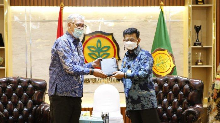FAO: Pertanian Indonesia Luar Biasa - TribunNews.com