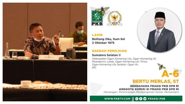 Profil Bertu Merlas, Wakil Bendahara DPP PKB 2019-2024, Anggota DPR RI Asal Sumatera Selatan ...