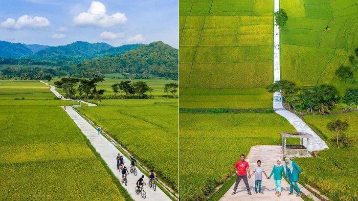Begini Keindahan Spot Instagramable Jalan Sawah di Kulon Progo, Laris ...