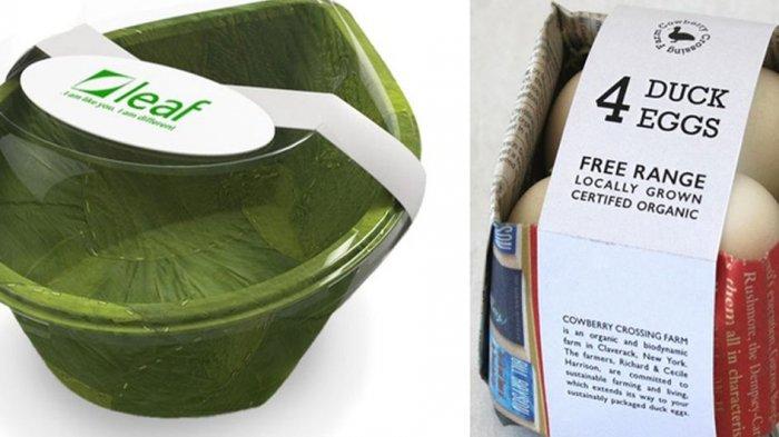 Unik dan Hemat, 4 Ide Packaging Ramah Lingkungan Ini dari Bahan Daur ...