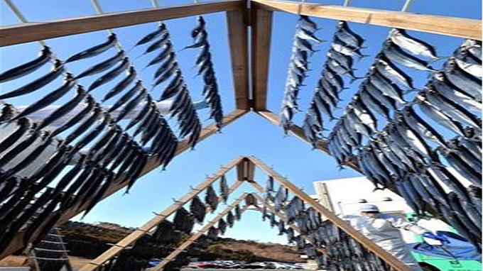 Industri Perikanan di Lokasi Bekas Tsunami Jepang Kini Mulai Bangkit ...