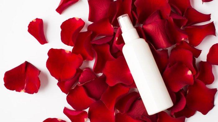 Populer Sejak Dulu, Ini Cara Menggunakan dan Manfaat Air Mawar untuk ...