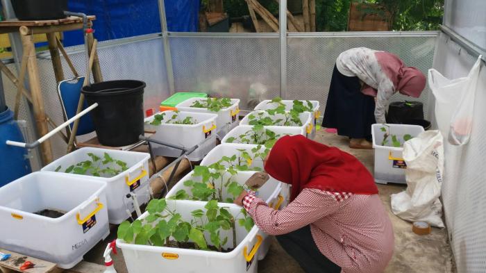 JC 2 in 1 Konsep Ekonomi Biru Ala Mahasiswa Undip - TribunNews.com