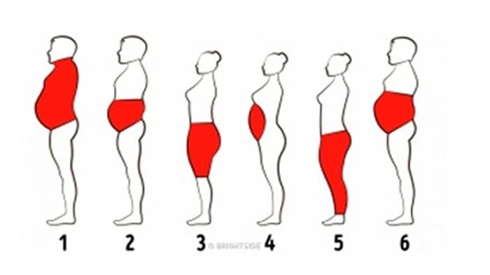 Beda Bentuk Beda Cara, Kenali 6 Jenis Lemak yang Ada di Tubuh dan Cara ...