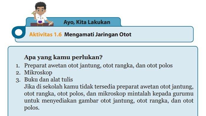 Kunci Jawaban IPA Kelas 8 SMP Halaman 36 37 Semester 1: Perbedaan Otot Jantung, Rangka dan Polos ...
