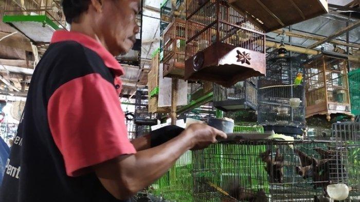 Begini Nasib Marimin Semenjak Merebak Kabar Virus Corona Berasal dari ...