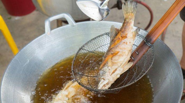 Tips Menggoreng Ikan agar Tidak Meletup, Kuncinya Ada di Minyak ...