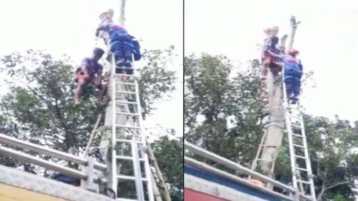 Pemuda di Blitar Pingsan di Atas Pohon Randu Setinggi 10 Meter, Warga Desa Kebingungan saat ...