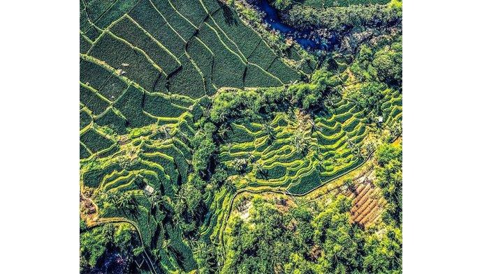 The 3rd World Irrigation Forum dan 70th IECM Akan Digelar di Bali Awal ...