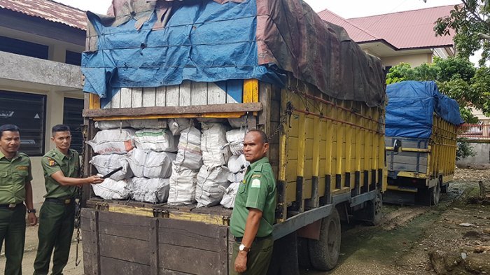 Petugas Pengelolaan Hutan Amankan Truk Bermuatan 12 Ton Arang Bakau ...