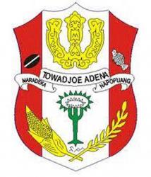 Pemkab Wajo Bantah Adanya Kesengajaan Bakar Pasar - TribunNews.com