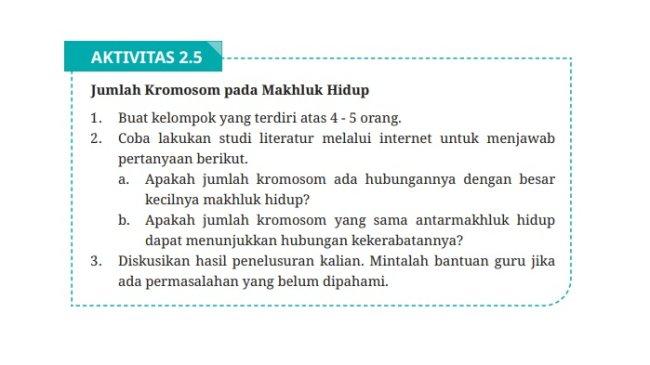 Kunci Jawaban Fisika Kelas 11 Halaman 43 Kurikulum Merdeka, Aktivitas 2.4 Bab Kinematika ...