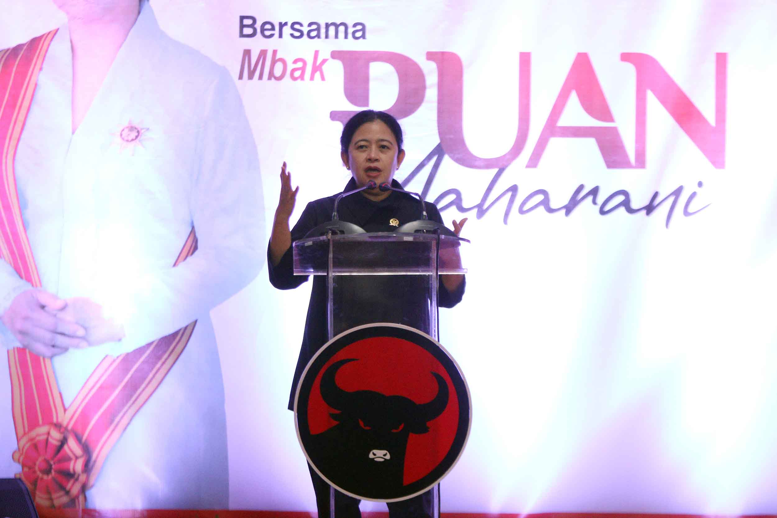 Ramai soal Dewan Kolonel Puan Maharani, Ini Tujuan dan Anggotanya ...