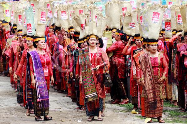 Tari Bakul Beras (Tandok) Batak Toba, Foto 1 #3460 - TribunNews.com