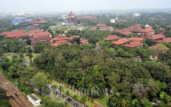 Hutan Kota Kampus UI, Foto 3 #126871 - TribunNews.com