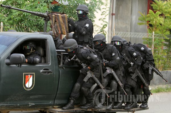 Latihan Pasukan Raider, Foto 7 #277271 - TribunNews.com