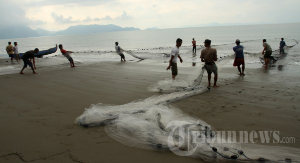Pukat Darat di Pantai Gampong Alue Naga, Foto 1 #371151 - TribunNews.com