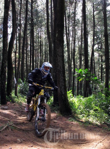 Jalur Sepeda Downhill, Foto 2 #452402 - TribunNews.com